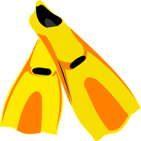 Flippers Transparent HQ PNG Download | FreePNGimg