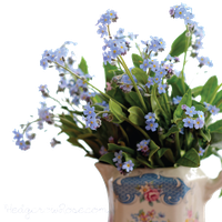 Forget Me Not Transparent Transparent HQ PNG Download | FreePNGImg