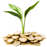 Fundraising Png Hd Transparent HQ PNG Download | FreePNGimg