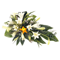 Funeral File Transparent HQ PNG Download | FreePNGImg