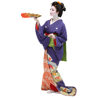 Geisha Png Transparent HQ PNG Download | FreePNGImg