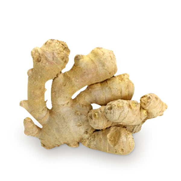Ginger Transparent HQ PNG Download | FreePNGimg