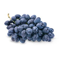 Black Grapes Bunch PNG Download Free Transparent HQ PNG Download ...