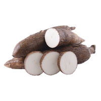 Download Green Free PNG photo images and clipart | FreePNGimg