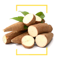 Download Vegetables Free PNG photo images and clipart - Page 70 ...