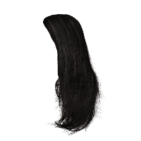 Women Hair Png Image Transparent HQ PNG Download | FreePNGimg