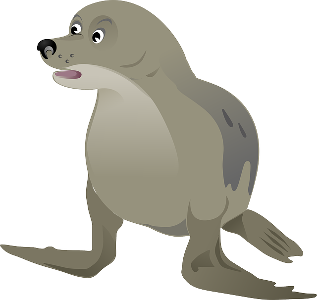 Harbor seal Transparent HQ PNG Download | FreePNGimg