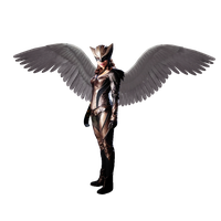 Hawkgirl Transparent Image Transparent HQ PNG Download | FreePNGImg