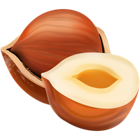 Download Hazelnut Free PNG photo images and clipart | FreePNGimg