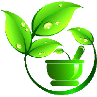 Health Transparent Image Transparent HQ PNG Download | FreePNGImg