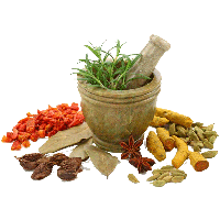 Download Herbs Free PNG photo images and clipart | FreePNGImg