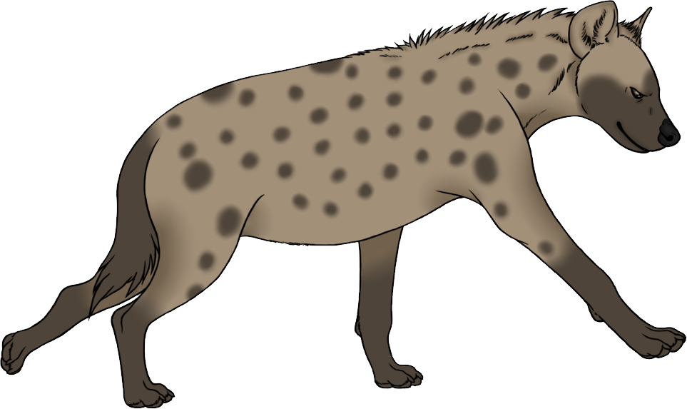Hyena Transparent HQ PNG Download | FreePNGimg