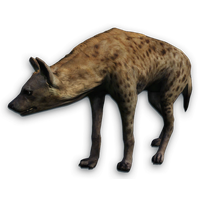 Hyena Transparent HQ PNG Download | FreePNGimg