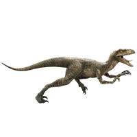 Velociraptor Evolution Jurassic Owen Dinosaur World Transparent HQ PNG ...