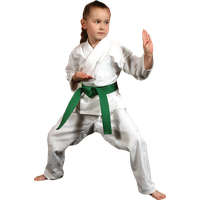 Karate Male Fighter HQ Image Free Transparent HQ PNG Download | FreePNGImg
