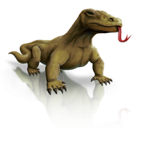 Komodo Dragon Png Picture Transparent HQ PNG Download | FreePNGImg
