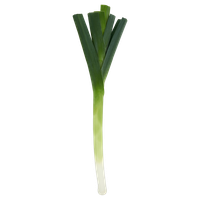Download Leek Free PNG photo images and clipart | FreePNGimg