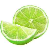 One Piece Zoro File Transparent HQ PNG Download | FreePNGimg