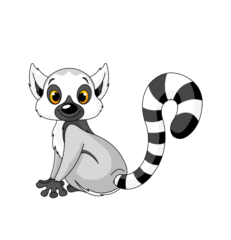 Lemur Transparent HQ PNG Download | FreePNGimg