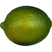 Download Lime Free PNG photo images and clipart | FreePNGimg