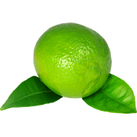 Download Lime Free PNG photo images and clipart | FreePNGimg