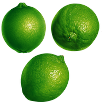Download Lime Free PNG photo images and clipart | FreePNGimg