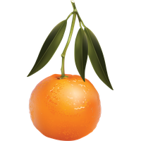 Mandarin Transparent HQ PNG Download | FreePNGimg