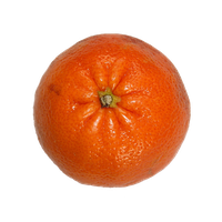 Mandarin Transparent HQ PNG Download | FreePNGimg