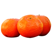 Download Mandarin Free PNG photo images and clipart | FreePNGimg