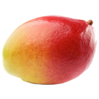 Mango Transparent Transparent HQ PNG Download | FreePNGImg