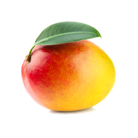 Mango Free Png Image Transparent HQ PNG Download | FreePNGimg