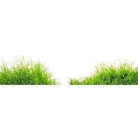 Meadow Greenscape Free Download Image Transparent HQ PNG Download ...
