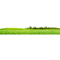 Summer Meadow Photos Free HD Image Transparent HQ PNG Download | FreePNGImg