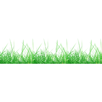 Download Meadow Free PNG photo images and clipart | FreePNGimg