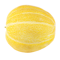 Download Melon Free PNG photo images and clipart | FreePNGimg