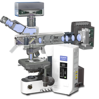 Microscope Silhouette Free Clipart HD Transparent HQ PNG Download ...