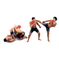 Mma Transparent Background Transparent HQ PNG Download | FreePNGImg