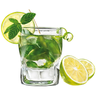 Mojito Transparent Image Transparent HQ PNG Download | FreePNGImg