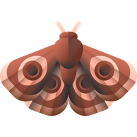 Moth Transparent HQ PNG Download | FreePNGimg