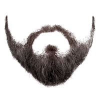 Download Moustache Free PNG photo images and clipart | FreePNGimg