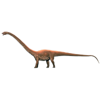 Diplodocus Download HQ PNG Transparent HQ PNG Download | FreePNGimg