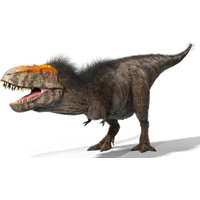 Download Octopus Free PNG photo images and clipart | FreePNGimg