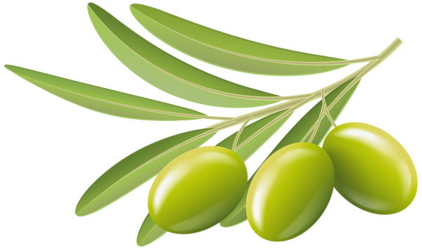 Olives Transparent HQ PNG Download | FreePNGimg