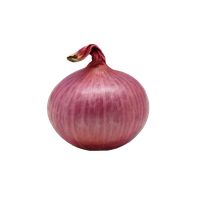 Onion Free Transparent Image HD Transparent HQ PNG Download | FreePNGimg