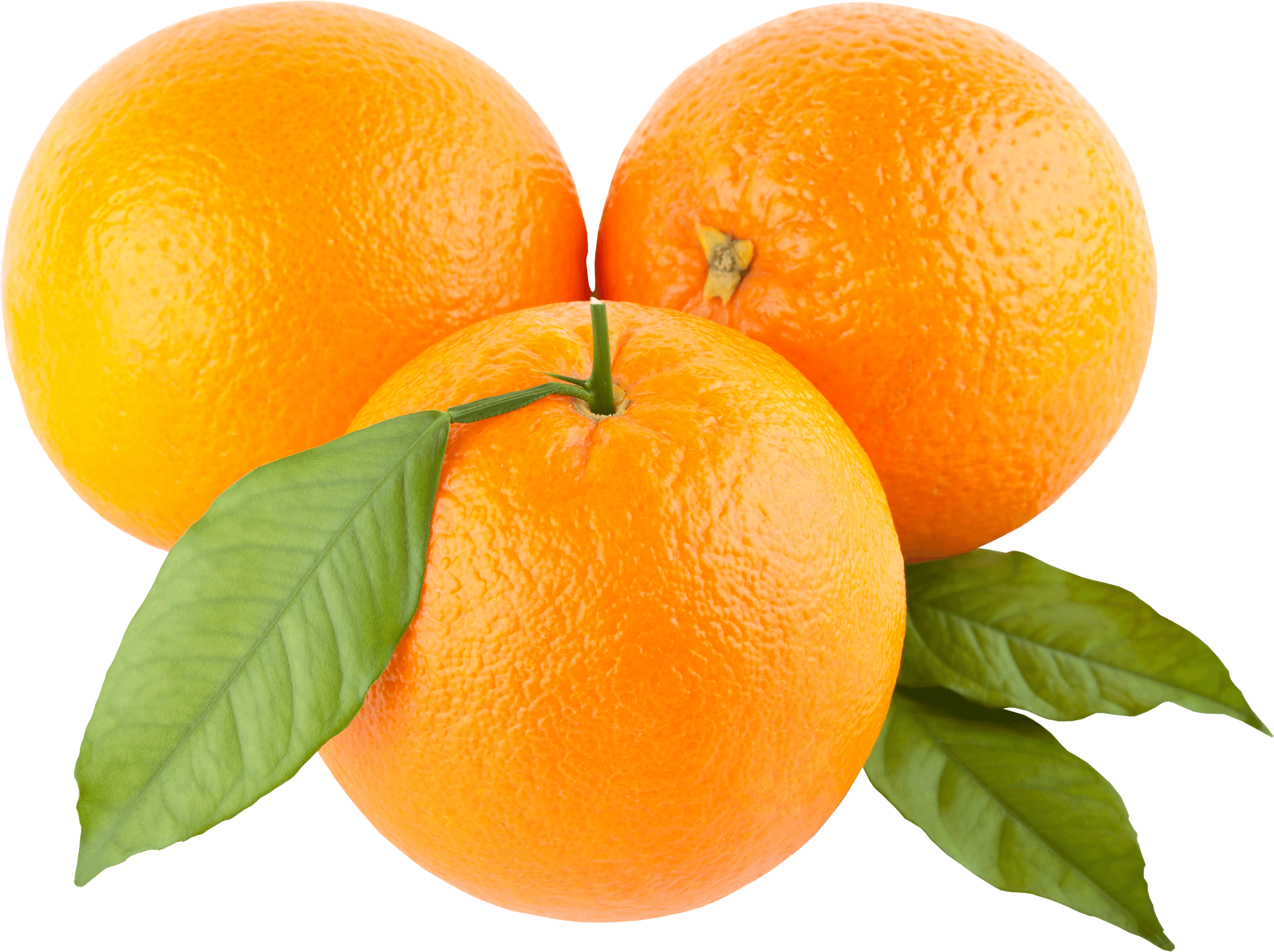 Orange Png