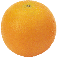 Orange Png Image Download Transparent HQ PNG Download | FreePNGimg