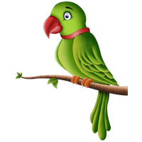 Parrot Png Image Transparent HQ PNG Download | FreePNGimg