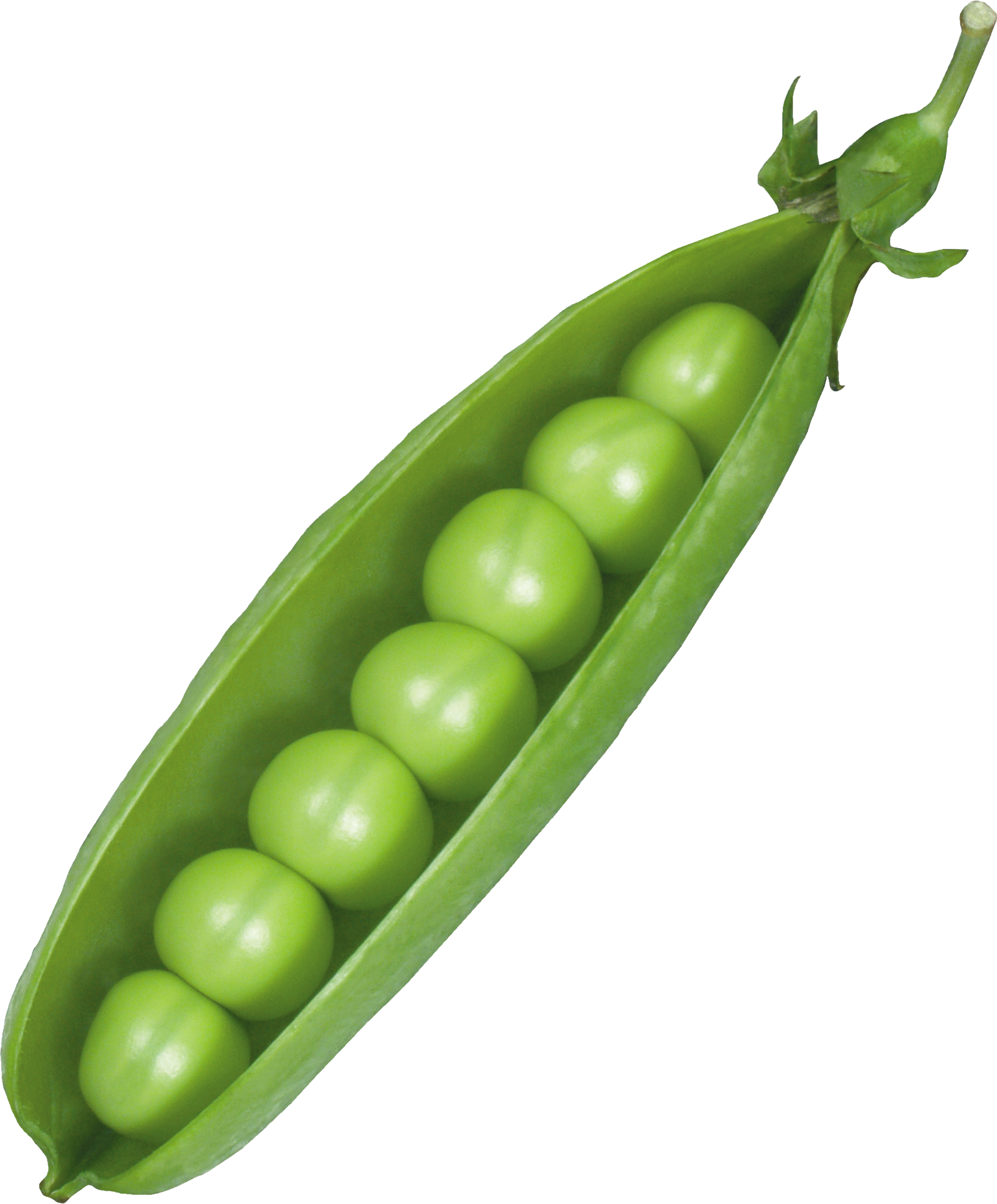Pea Transparent HQ PNG Download | FreePNGimg