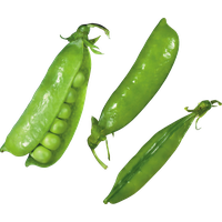 Pea Transparent HQ PNG Download | FreePNGimg