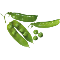 Pea Transparent HQ PNG Download | FreePNGimg